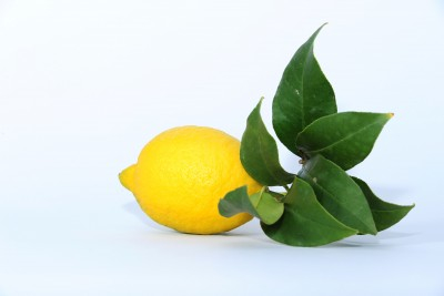 Lou Lou’s Famous Fish Sticks | loulouloves